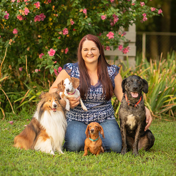 Apex Vet Surgery - About Us